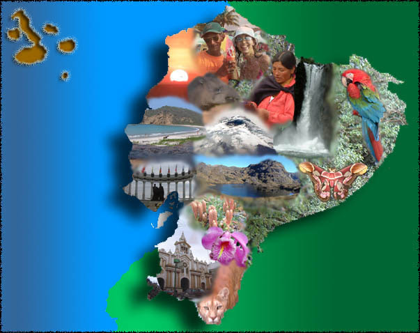 Las culturas del Ecuador: Diferentes culturas del Ecuador